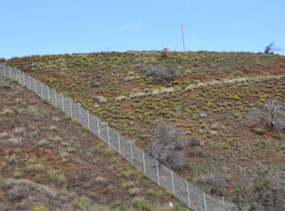 Chain Link Fence with Barbwire - Island Wide Fencing